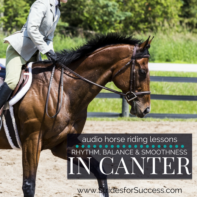 A Rhythmic, Balanced Smooth Canter – Daily Strides